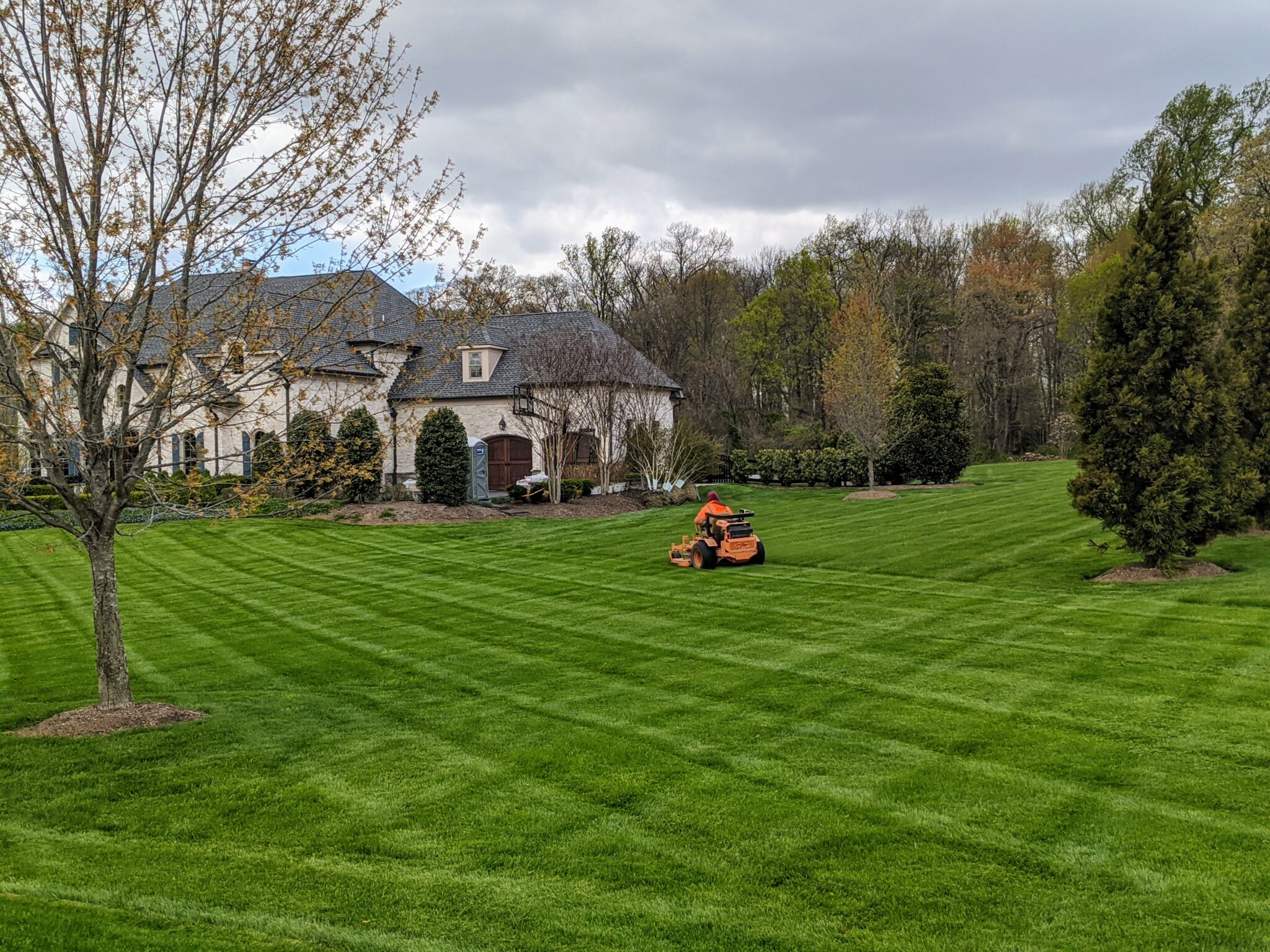 Lawn Care Tips: Mastering the 1/3 Rule - Kane Landscape, Inc.